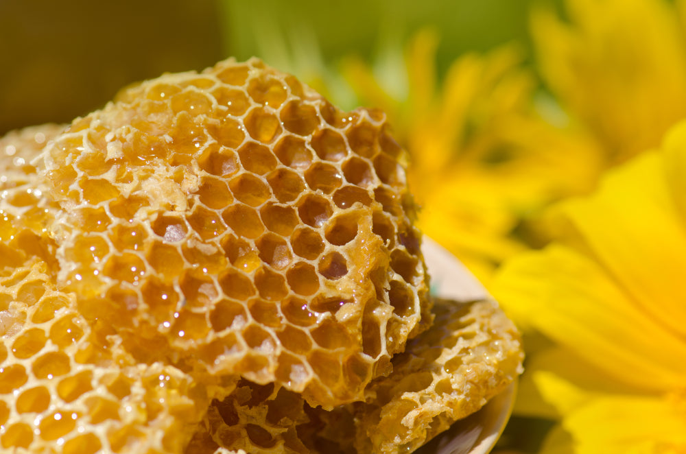 Apiary (Bee) Products – Antler Farms